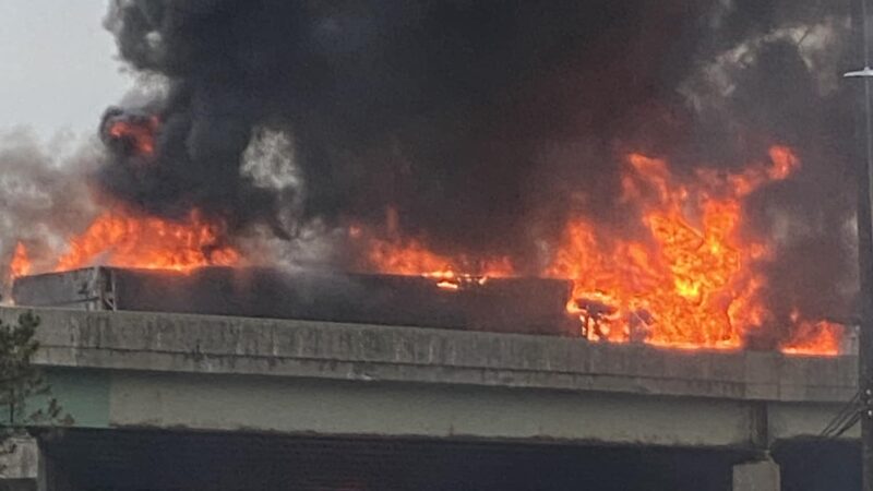 Home - Senator Brown